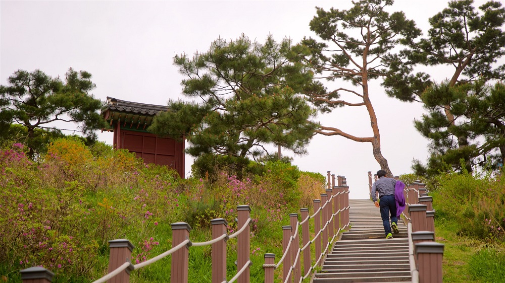 Dịch vụ Pháo đài Suwon Hwaseong, Gyeonggi | TGROUP | Đặt golf, tour du ...