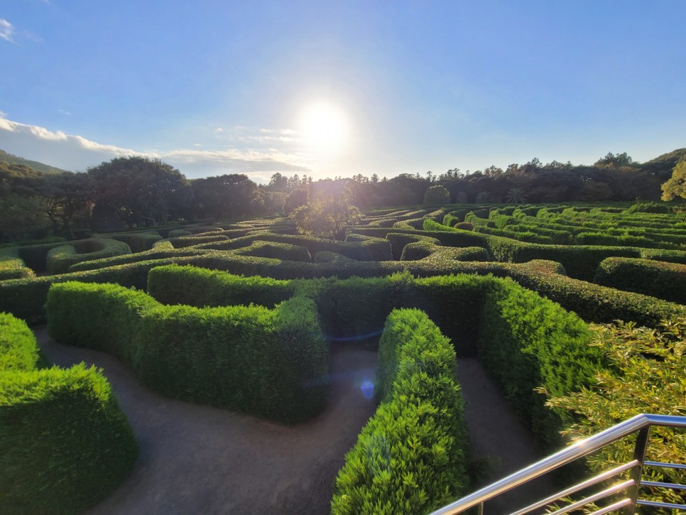 Dịch vụ Maze Land - Công viên mê cung, Jeju | TGROUP | Đặt golf, tour ...